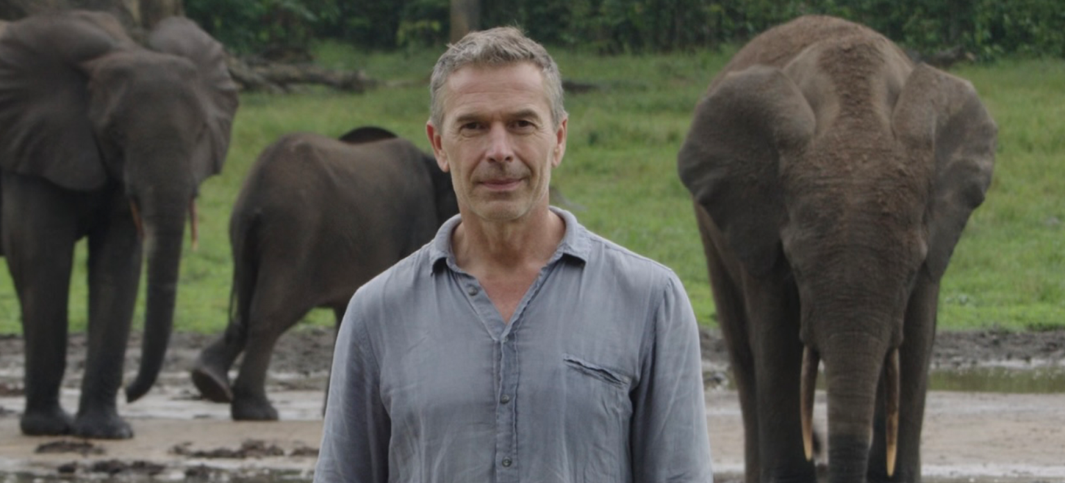 BERLIN OPENING NIGHT 2025: UFA, RTL Deutschland und GALA feiern ...